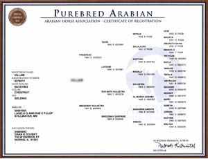 ArabianHorses.org - Registration