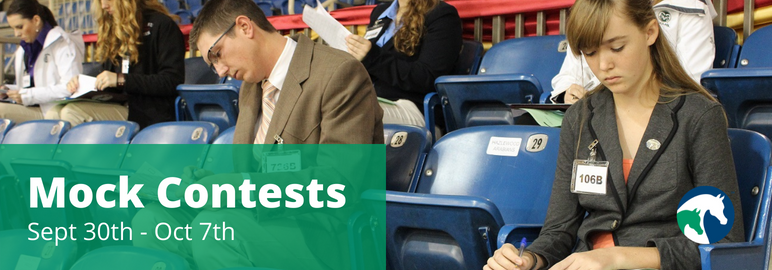 ArabianHorses.org - Awards & Results